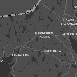 ArcGIS Web Application