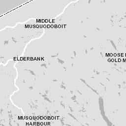 ArcGIS Web Application